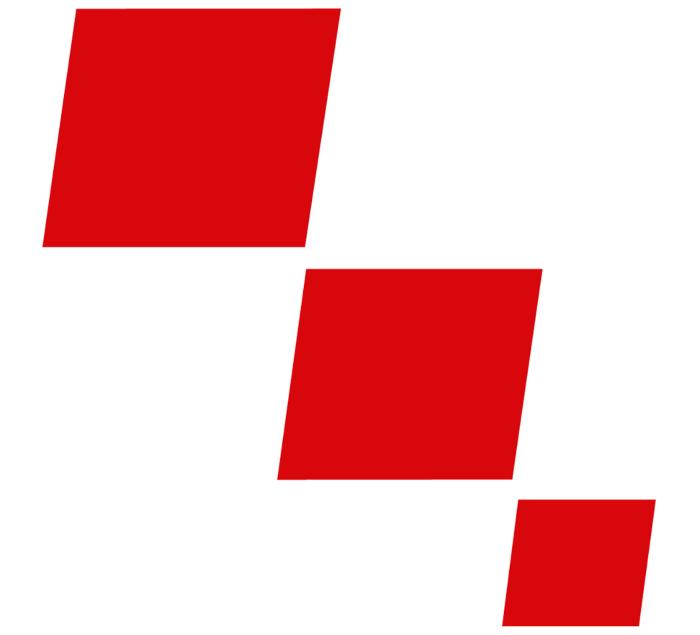 Fórmula GT Experience - Vic